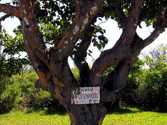 08Winter-Pg5-Bahamas